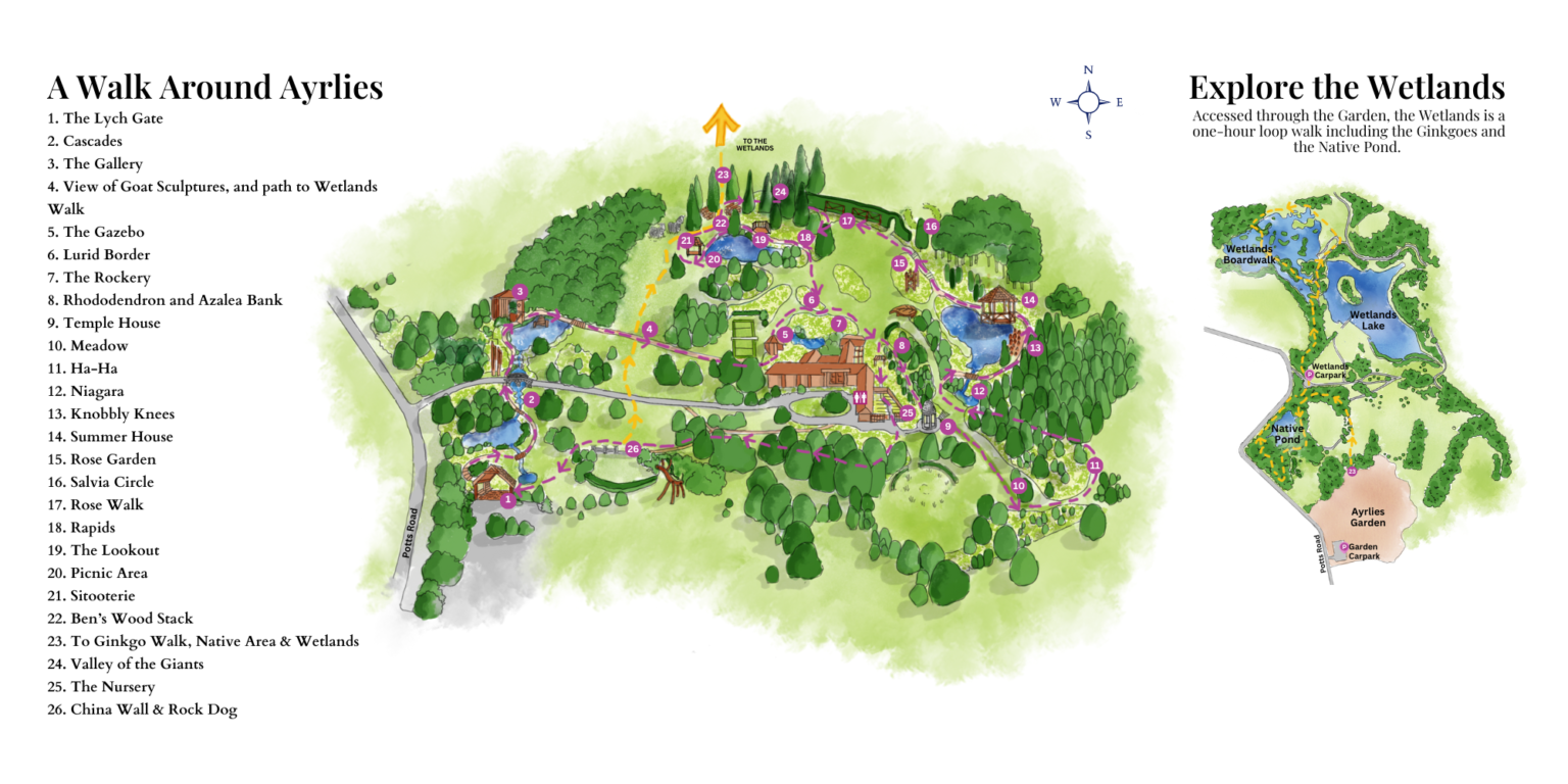 Ayrlies Garden & Wetlands Map - Ayrlies Garden & Wetlands